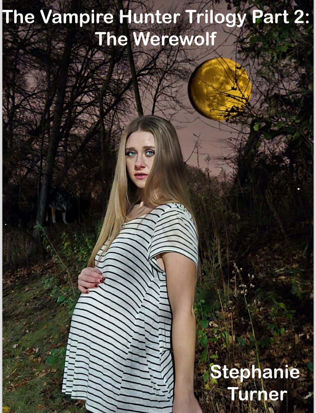 Amazon.com: The Vampire Hunter Trilogy: The Werewolf eBook : Turner ...