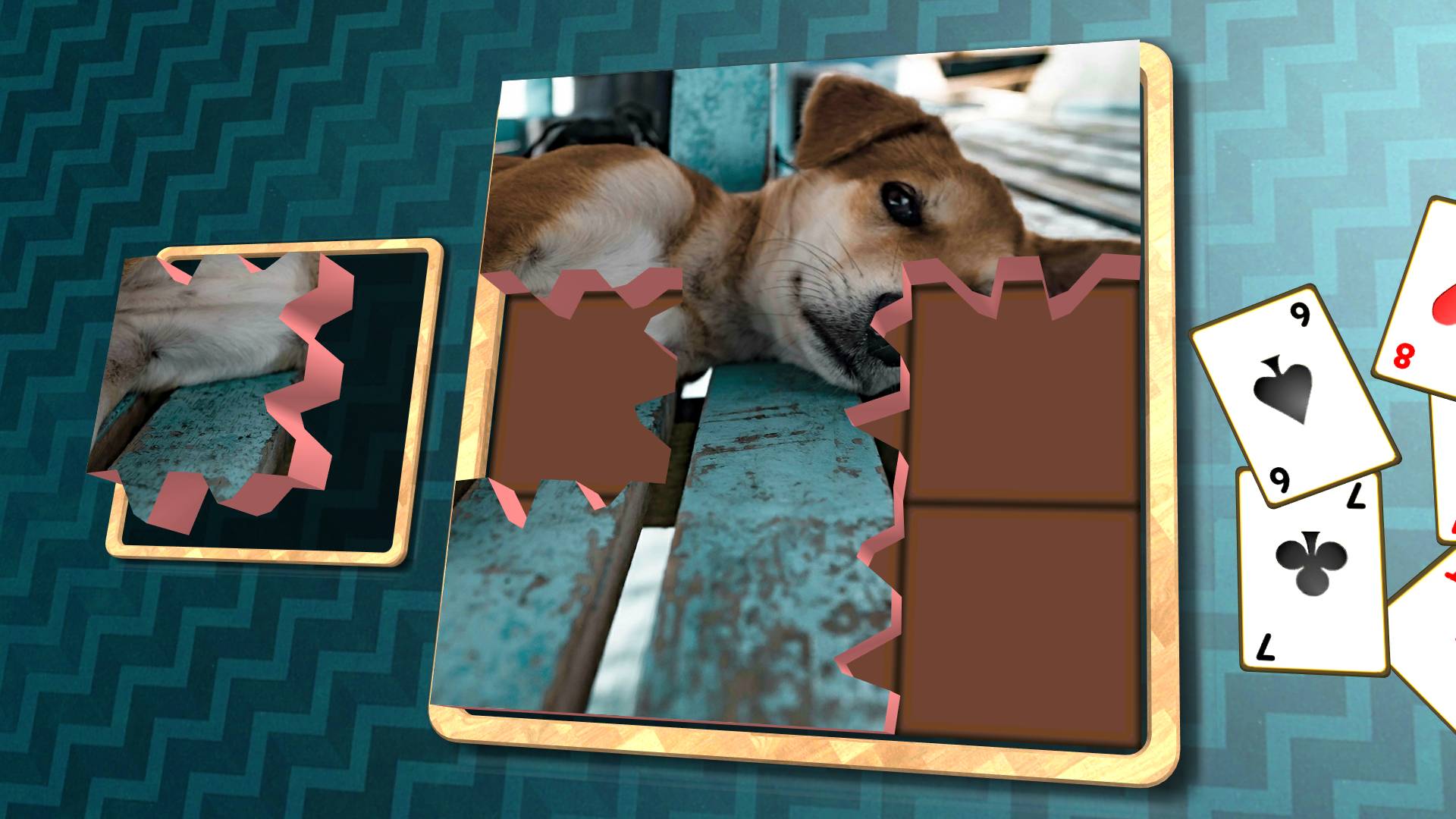 Jigsaw Solitaire - Dogs FireTV - App on Amazon Appstore