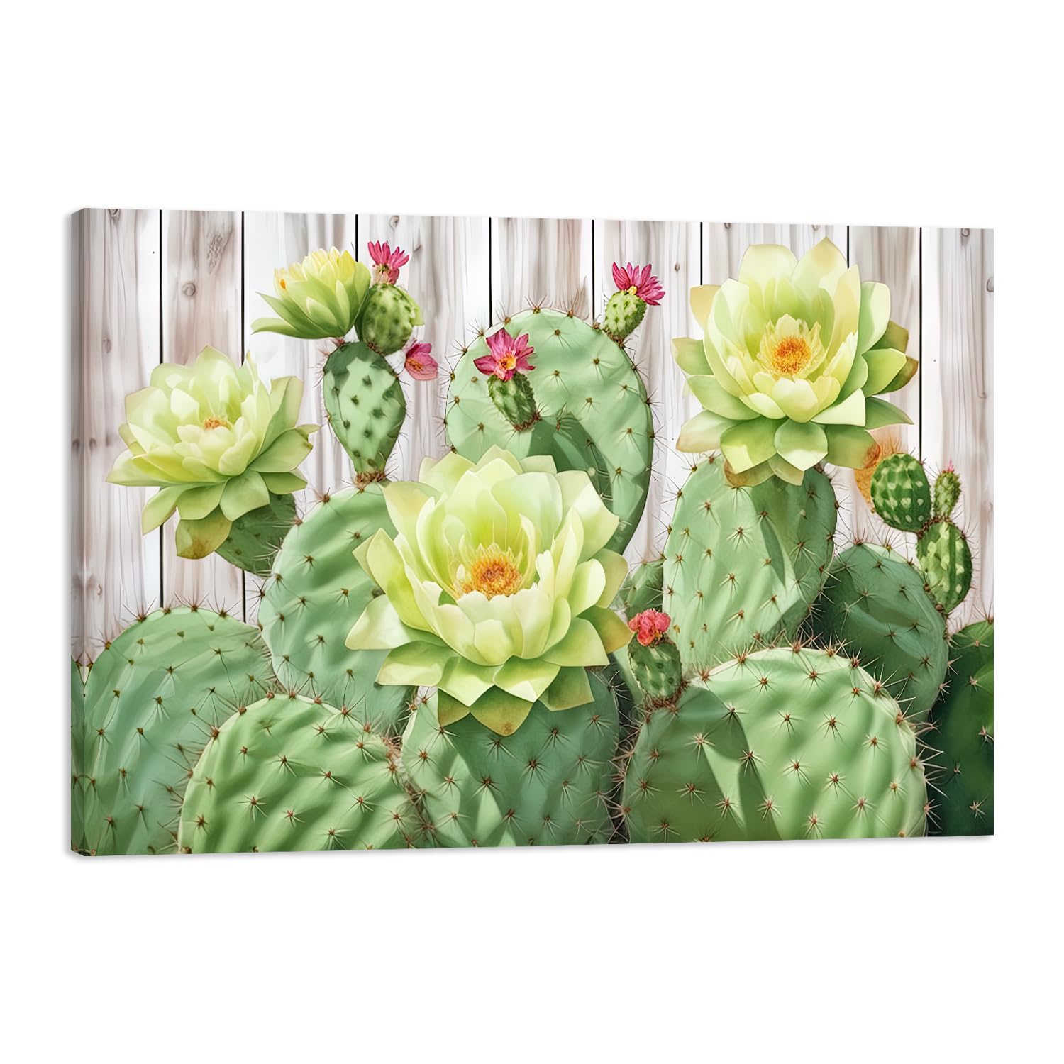 Amazon.com: Cactus Canvas Wall Art, Succulent Cacti and Cactus Flowers ...