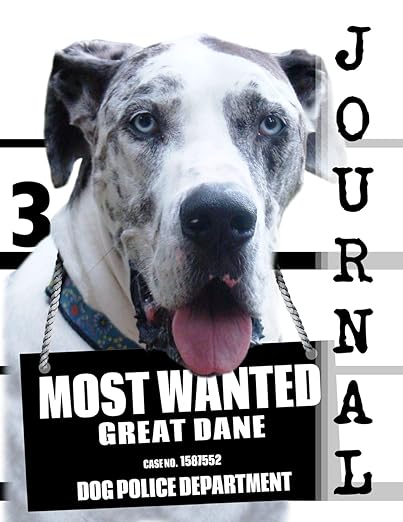 Amazon.com: Most Wanted Great Dane Journal: Diary Notebook (Dog Journal ...