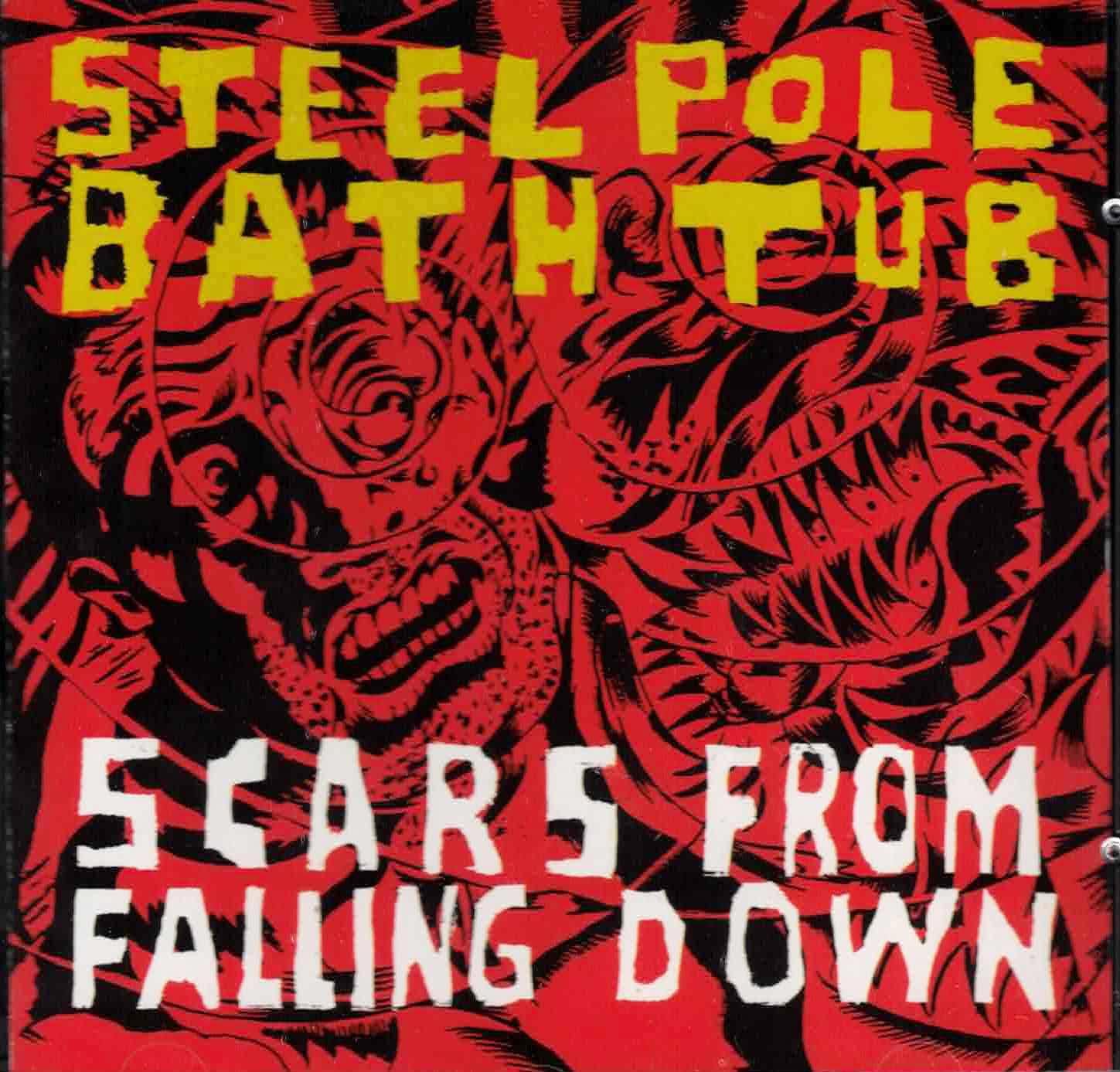 Amazon.co.jp: Scars from Falling Down: ミュージック