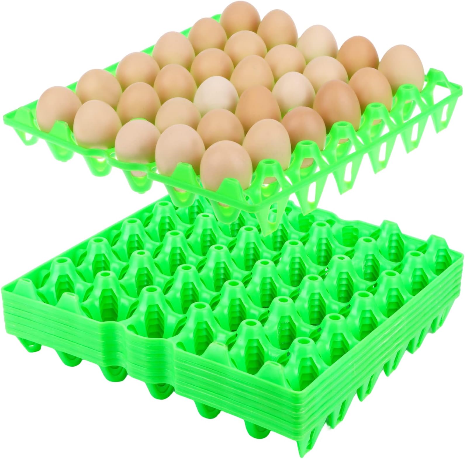 Amazon.com: 6-Pack Plastic Egg Tray Egg Crates 30-Egg Flats for Home ...
