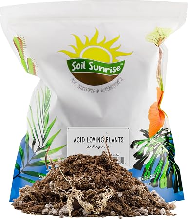 Amazon.com : Acid Loving Plant Potting Soil Mix (12 Quarts), Premium ...