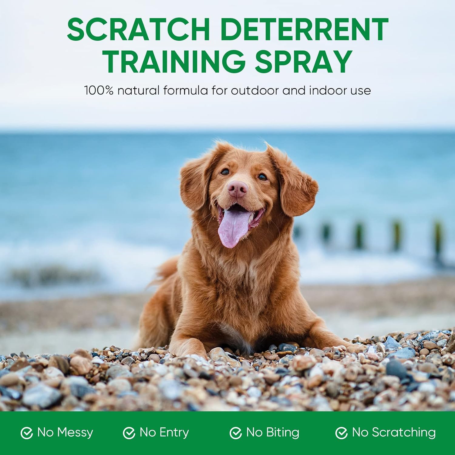 Spray amargo para que los perros dejen de masticar, extra fuerte, sin ...