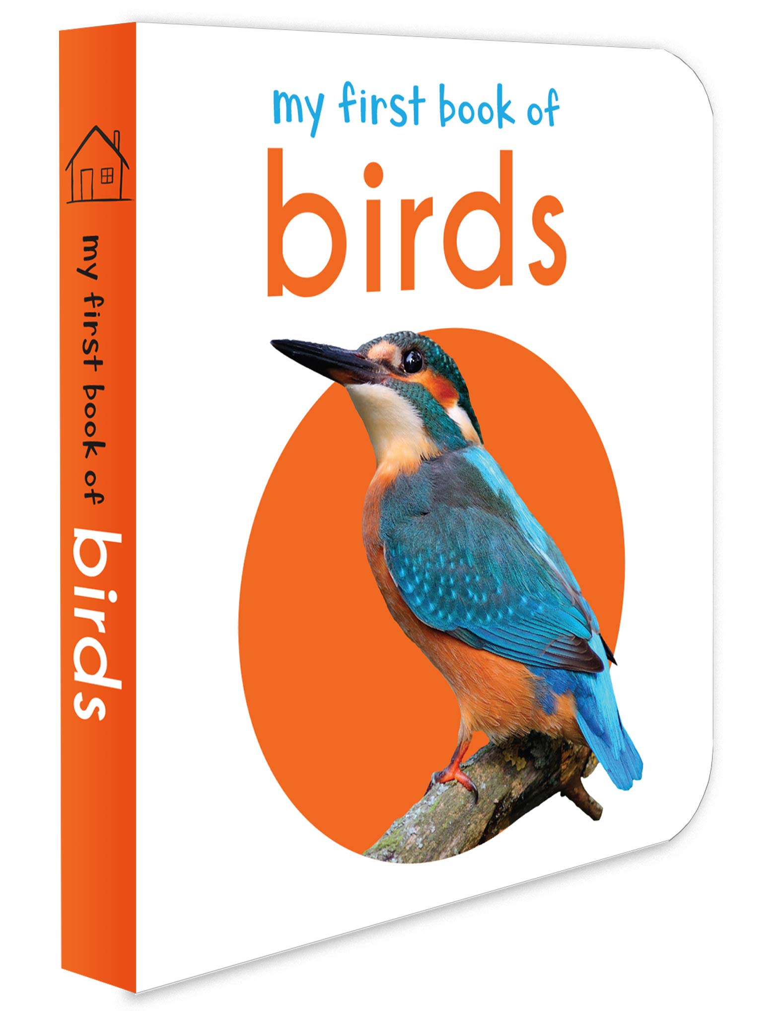 Amazon.com: My First Book of Birds: 9789386538475: Wonder House Books ...
