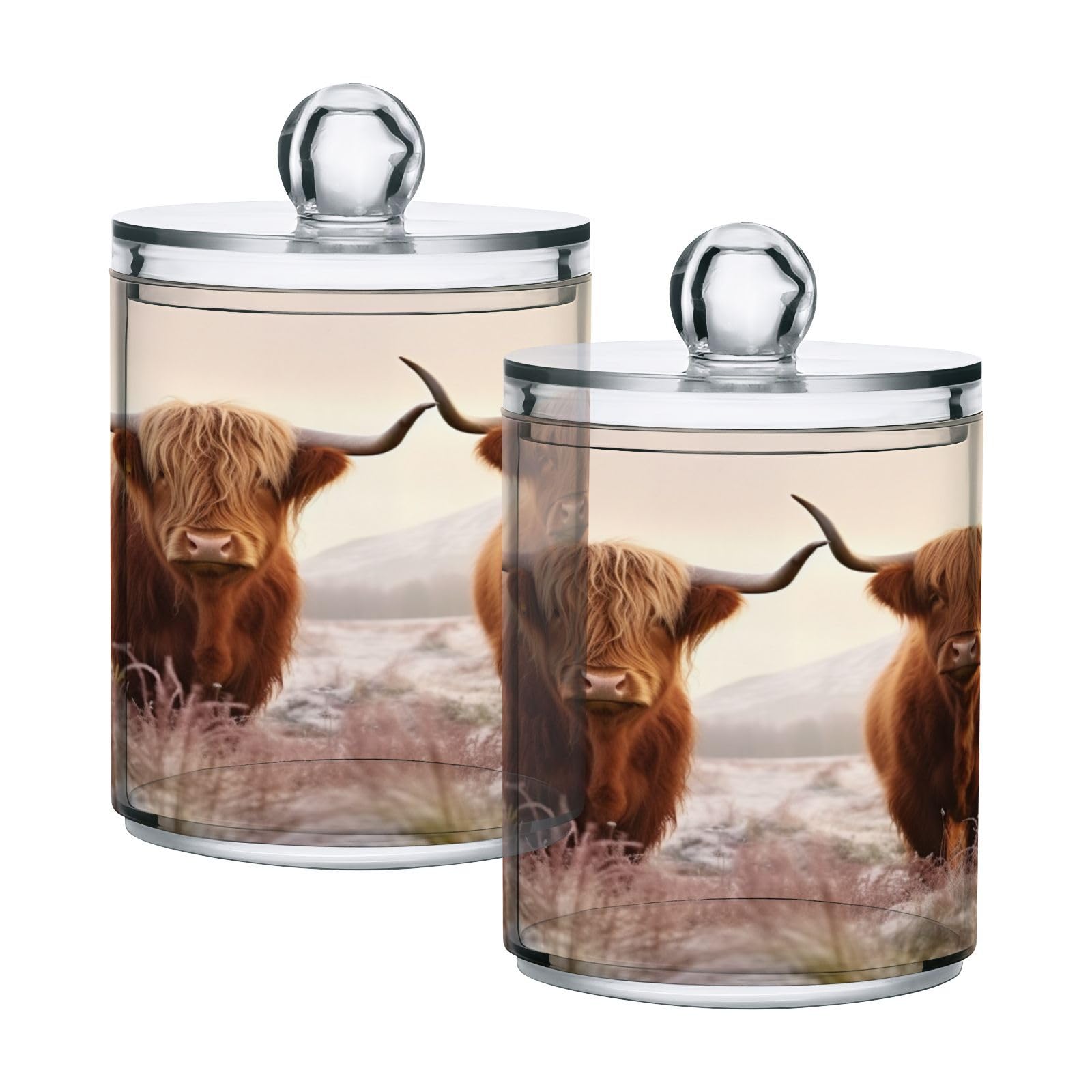 Amazon.com: Zhirexin Highland Cow 2PC Airtight Transparent Plastic ...