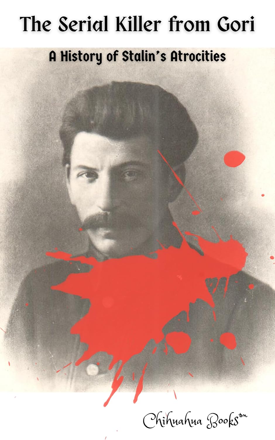 The Serial Killer From Gori: A History of Stalin's Atrocities eBook ...