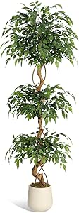 Amazon.com: 6Ft Artificial Ficus Tree with Curved Trunks, 3-Tier Fake ...