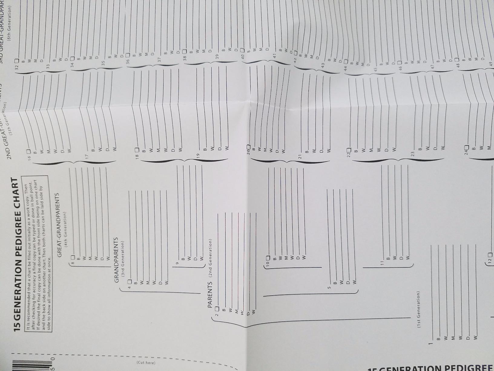 Amazon.com: TreeSeek® 15 Generation Pedigree Chart | Blank Genealogy ...