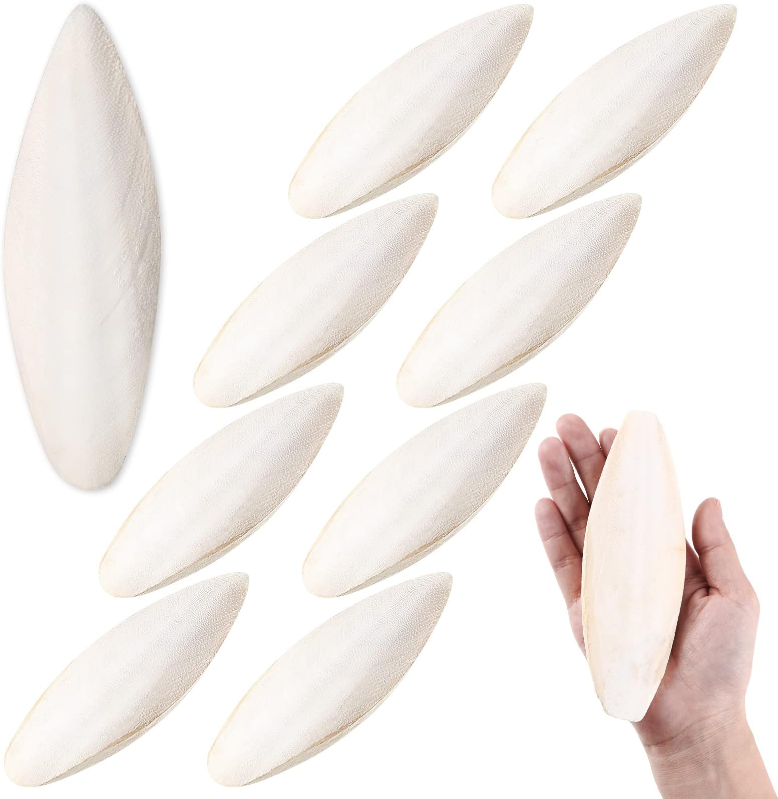 Amazon.com : Fabbay 8 Pack Cuttlebone for Birds 5.91-6.69 Parakeets ...