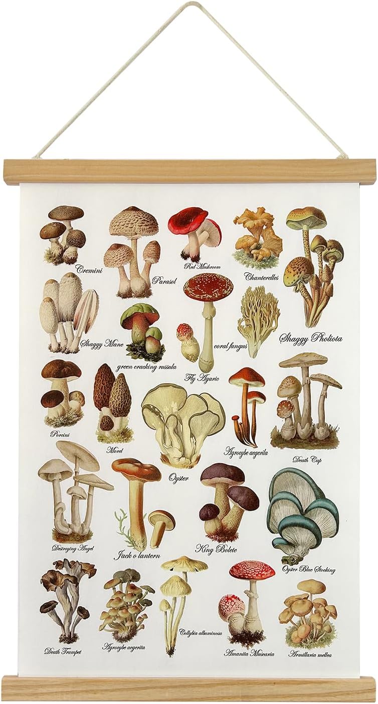 Amazon.com: XIAOAIKA Mushroom Poster Wall Art Prints HD Colorful Rustic ...