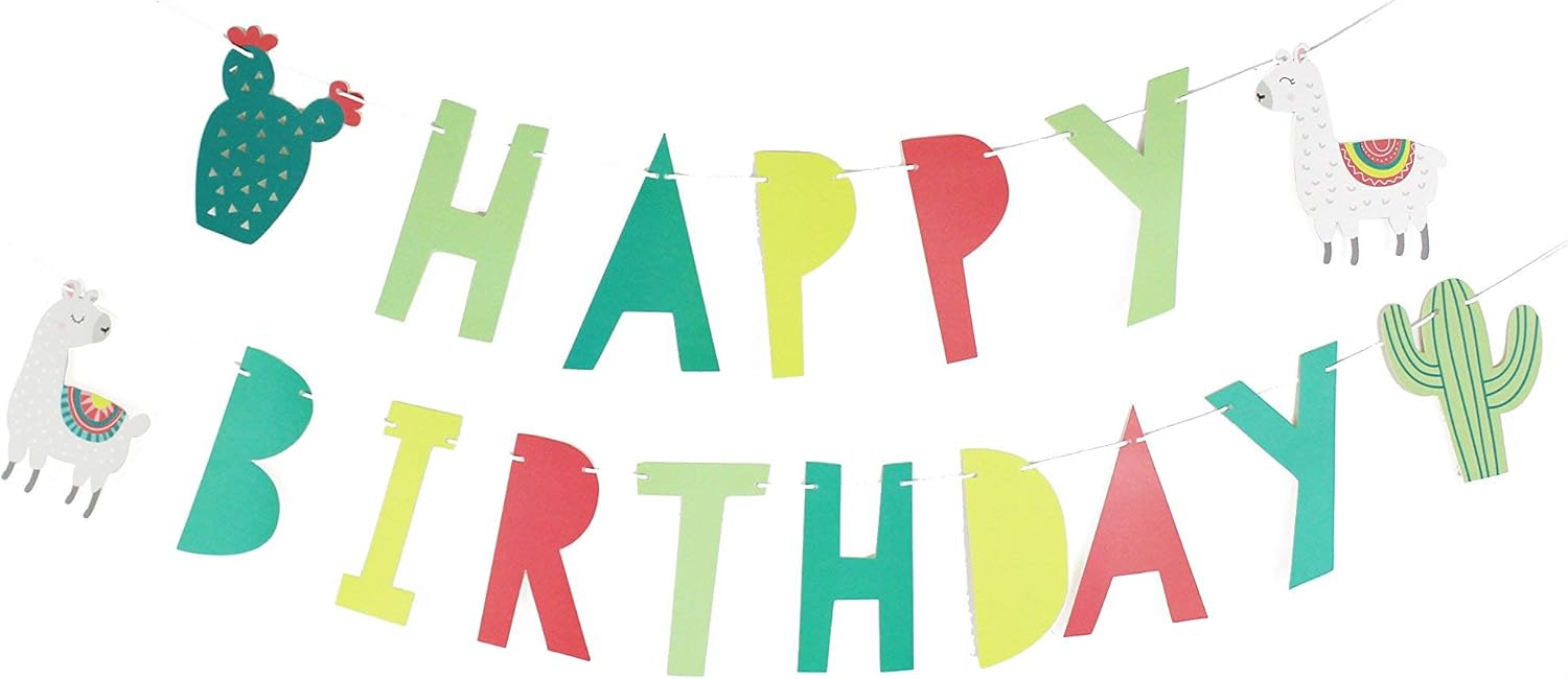 Amazon.com: Llama and Cactus - Birthday Party Banner | Party Decoration ...