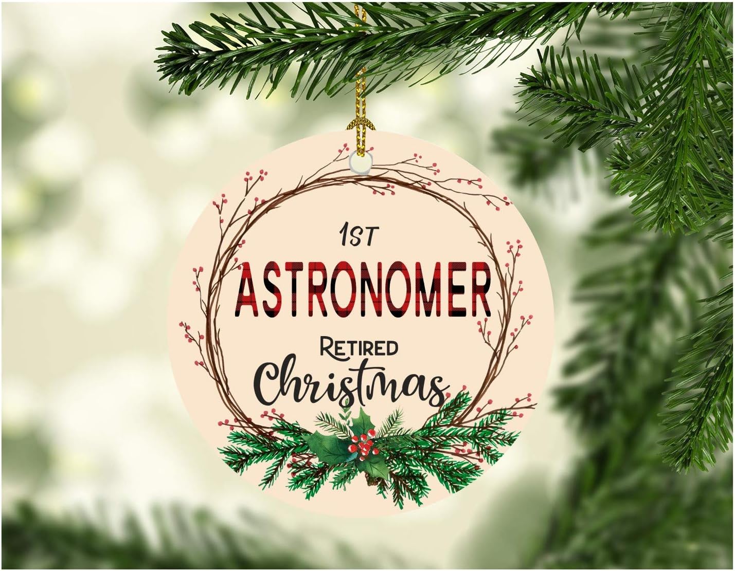 Amazon.com: First Christmas Retired 2025 Job Work Astronomer Ornaments ...