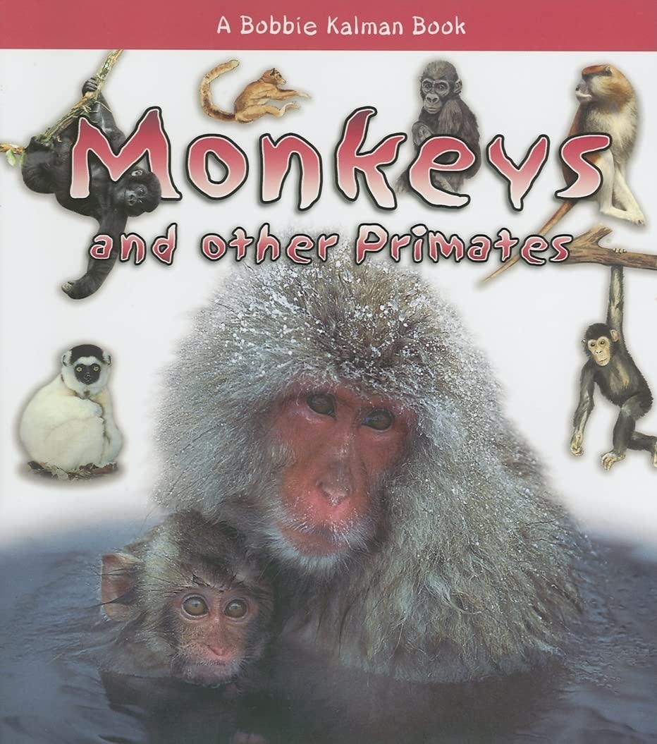 Monkeys and Other Primates (What Kind of Animal Is It?): Sjonger ...