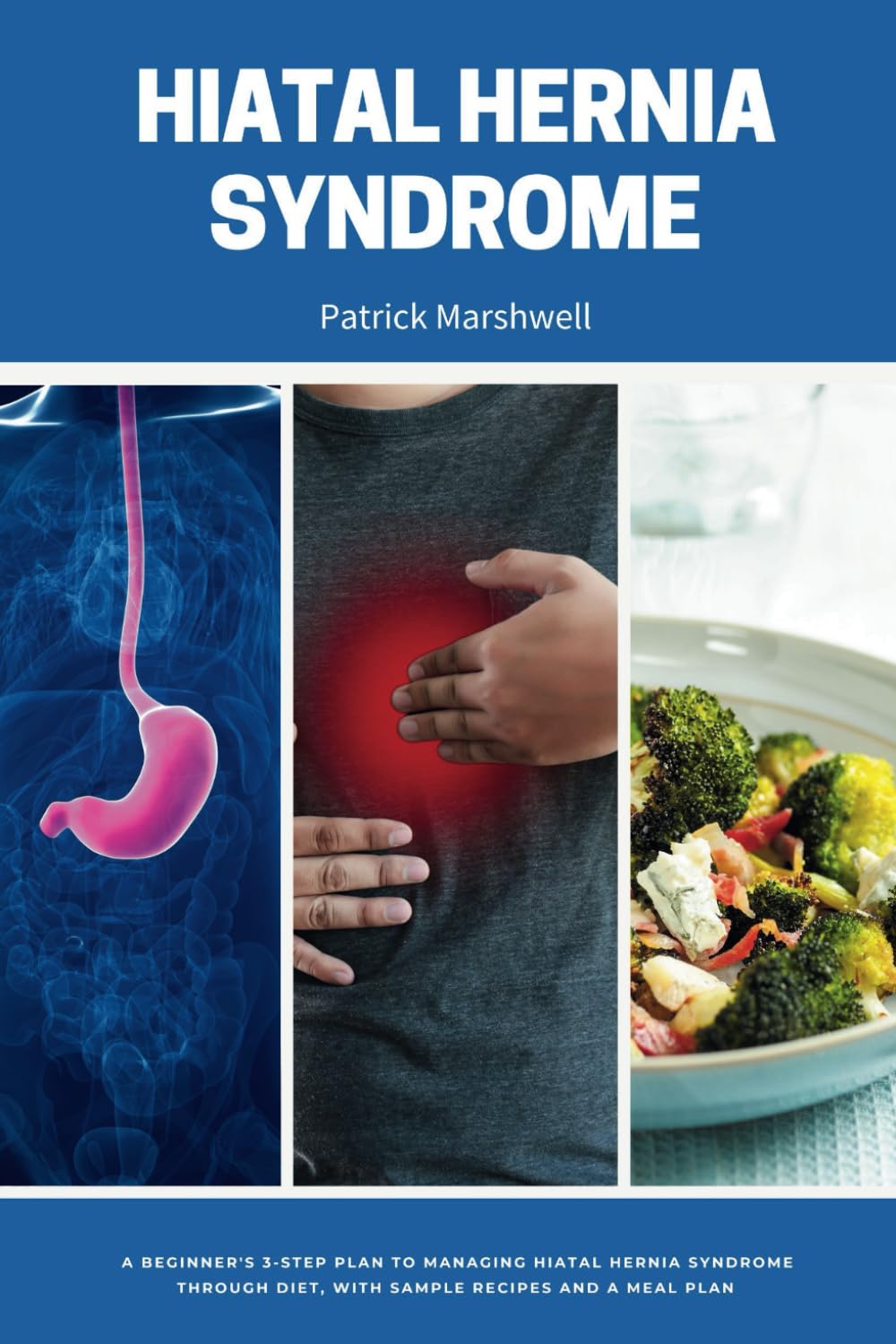 Buy Hiatal Hernia Syndrome: A Beginner's 3-Step Plan to Managing Hiatal ...