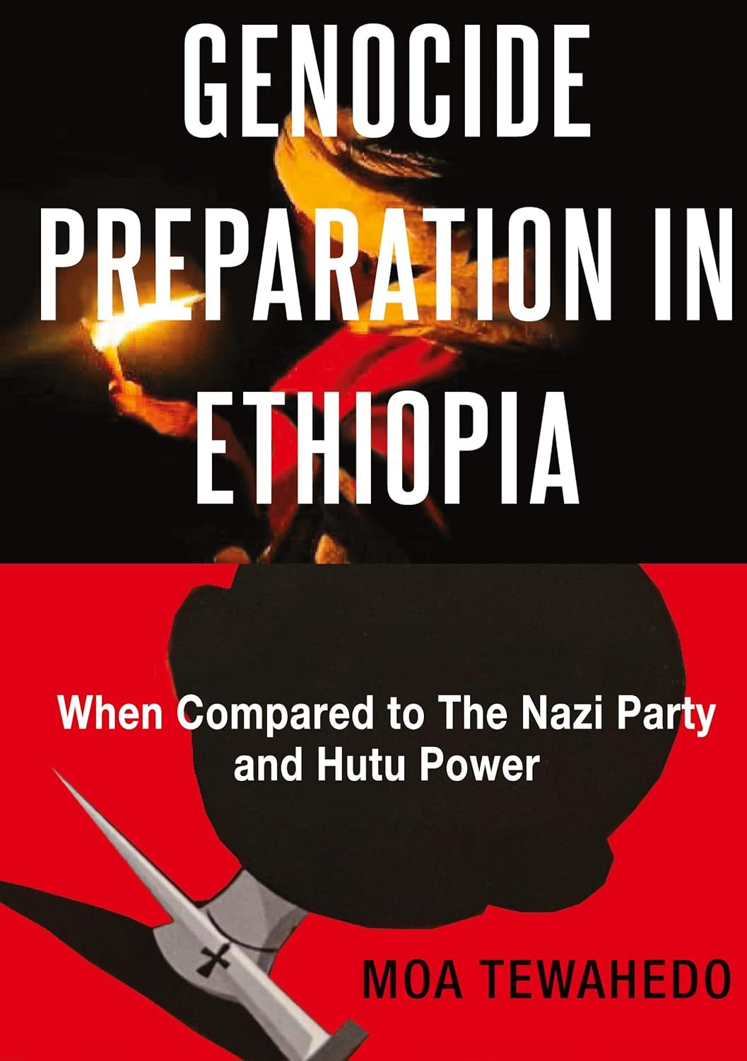 GENOCIDE PREPARATION IN ETHIOPIA: WHEN COMPARED TO THE NAZI PARTY AND ...
