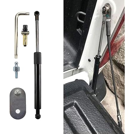 Amazon.com: Dekalaii Truck Tailgate Assist Shock for 1999-2016 F150 ...