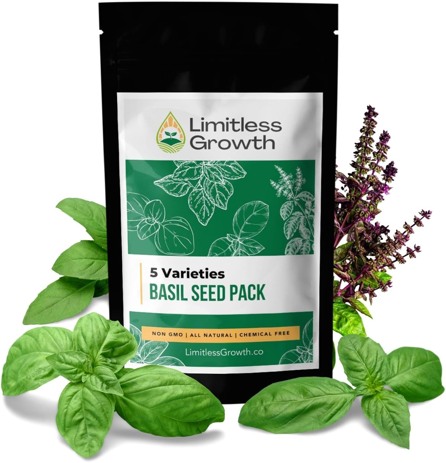 Basil Seeds - 5 Seed Varieties for Your Indoor or Outdoor Garden ...
