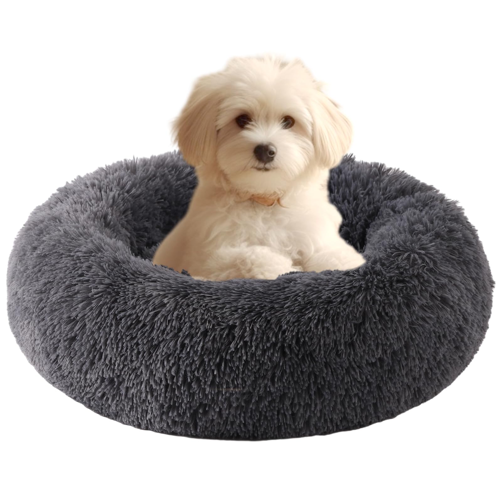 Amazon.com : HYQ Calming Dog Bed, Pet Beds for Small Dogs, Cat Beds for ...