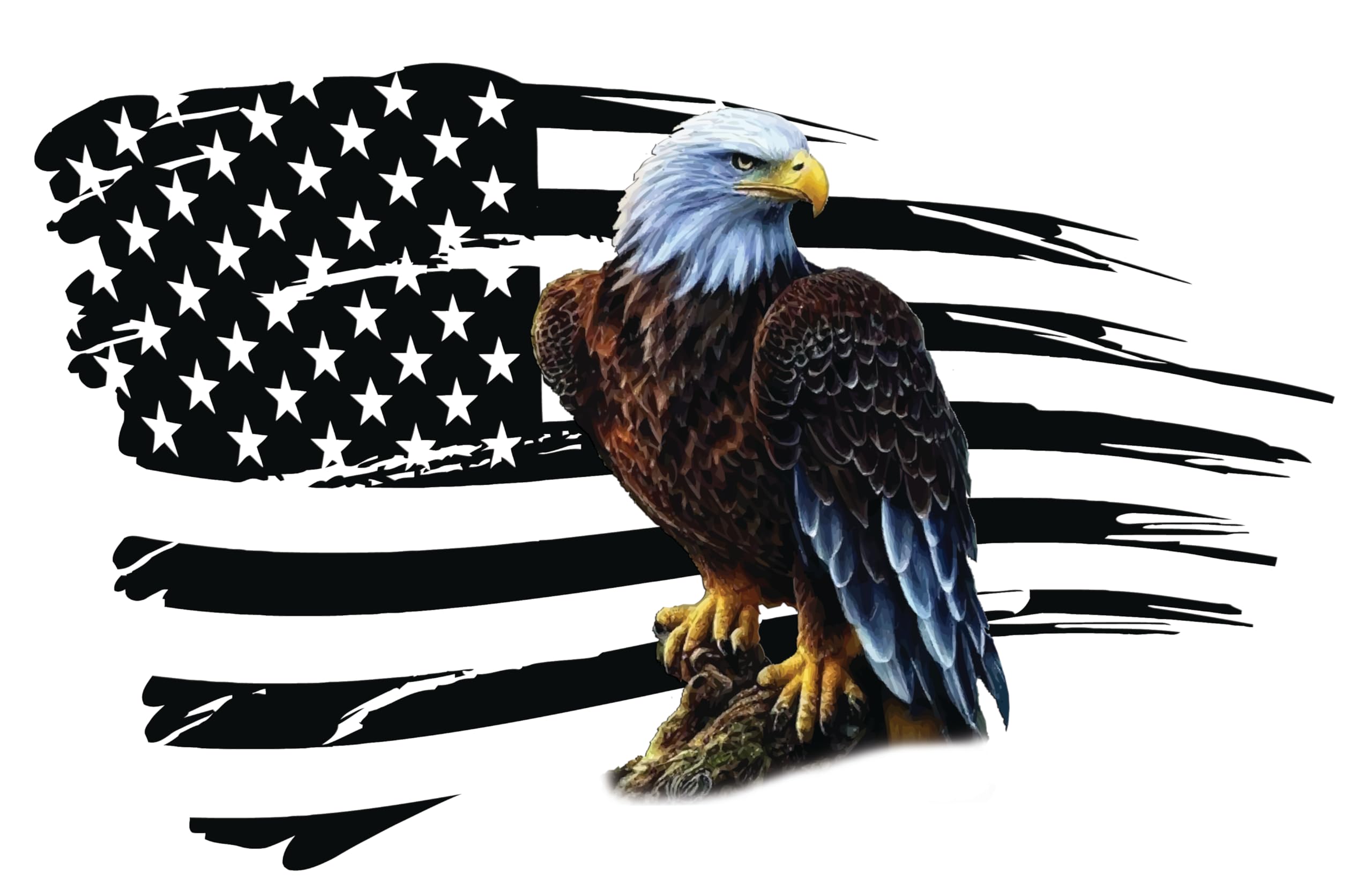 Amazon.com - Worn Black American Flag Eagle Decal Sticker (18" x 12")