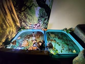 Intex Mini Frame Pool, Blue : Amazon.ca: Patio, Lawn & Garden