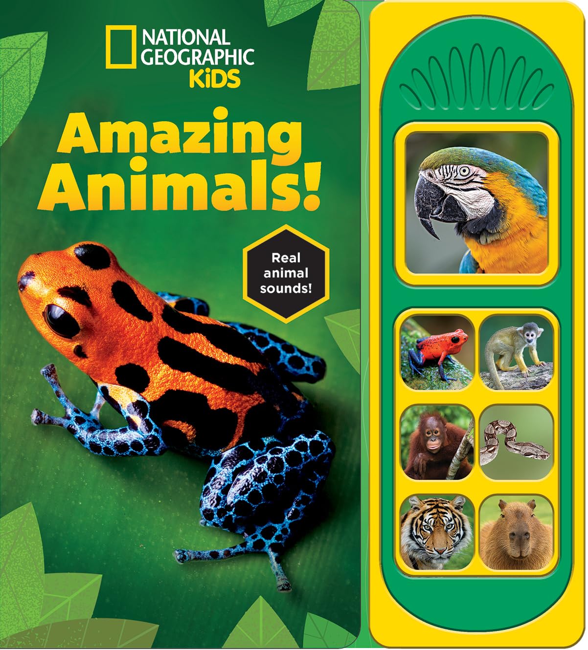 National Geographic Kids - Amazing Animals! 7-Button Animal Sound Book - Nat Geo - PI Kids: PI ...