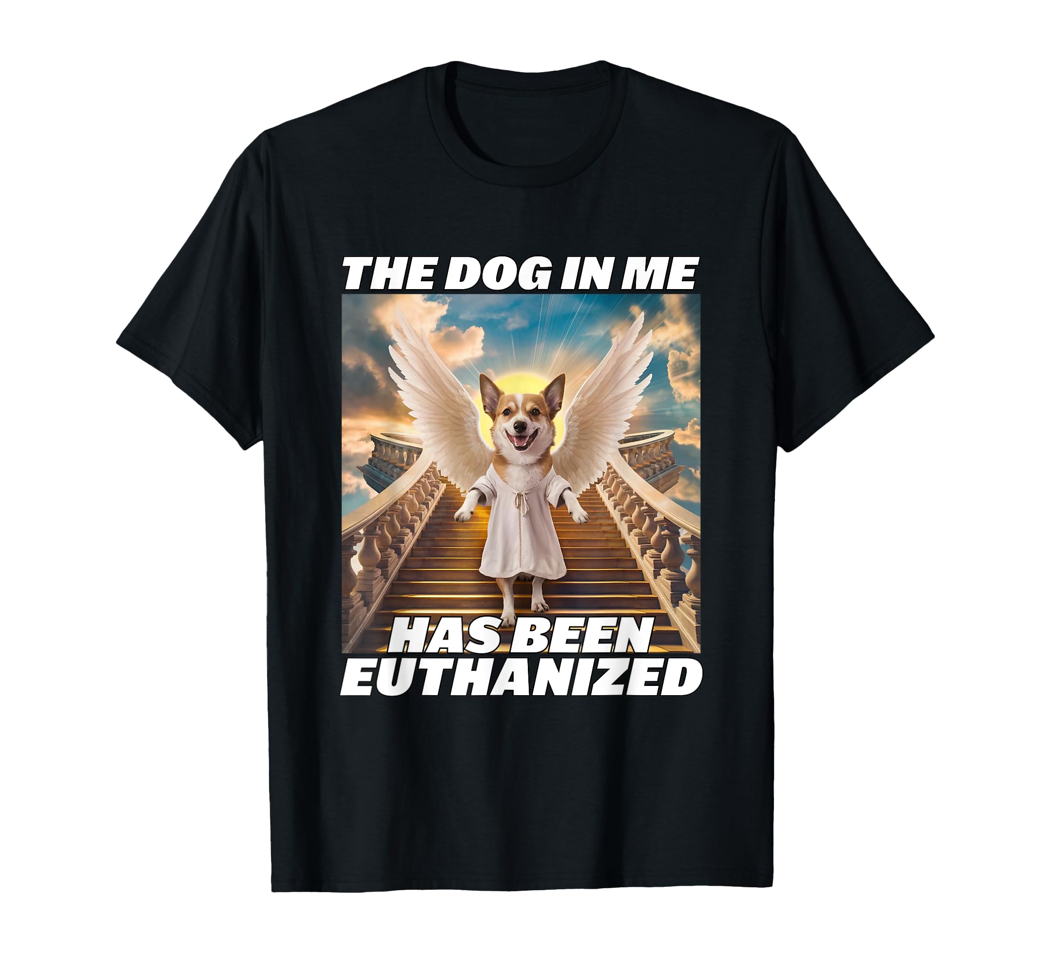 Geburtstags Hundememe