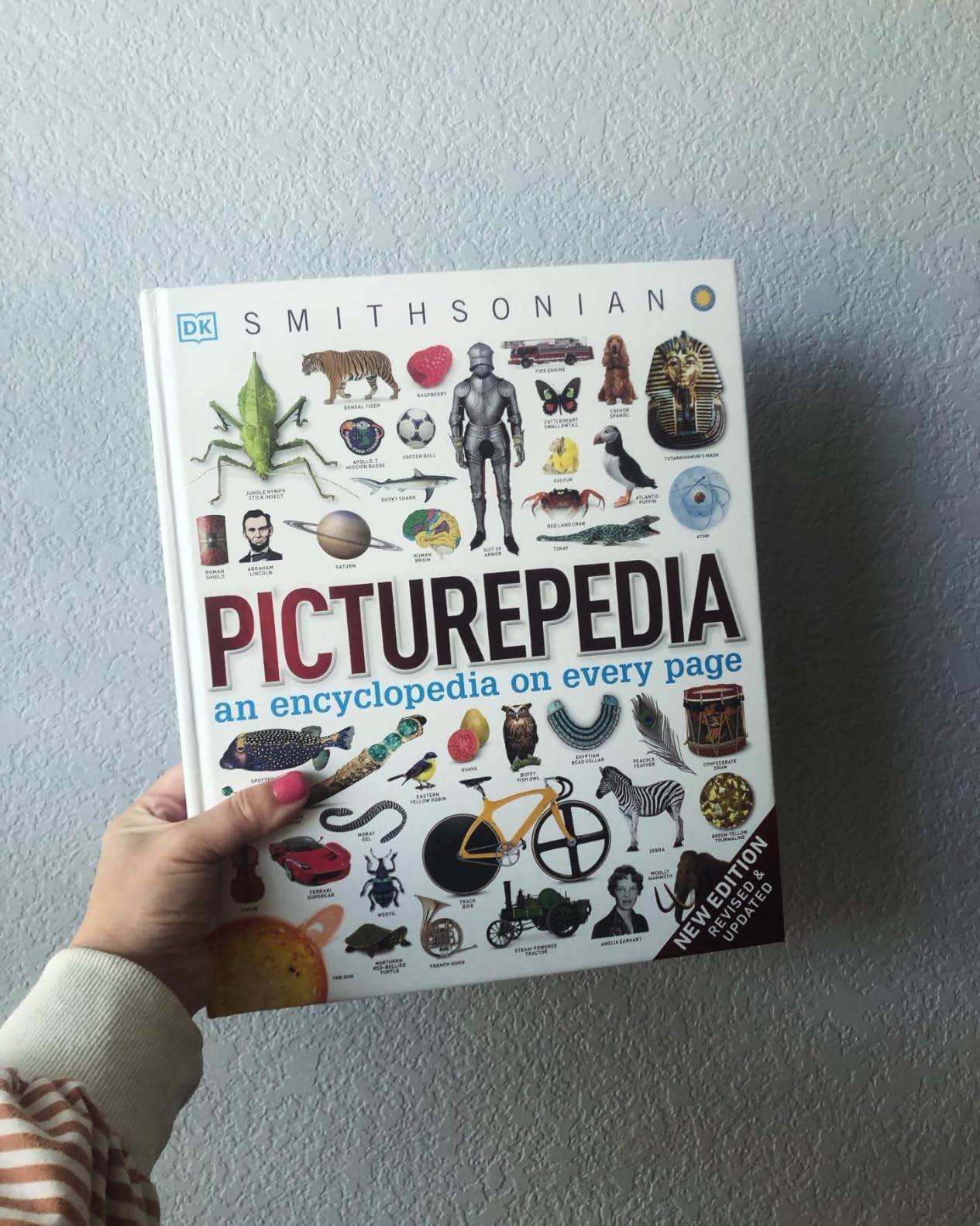 Picturepedia: An Encyclopedia on Every Page - Kindle edition by DK ...