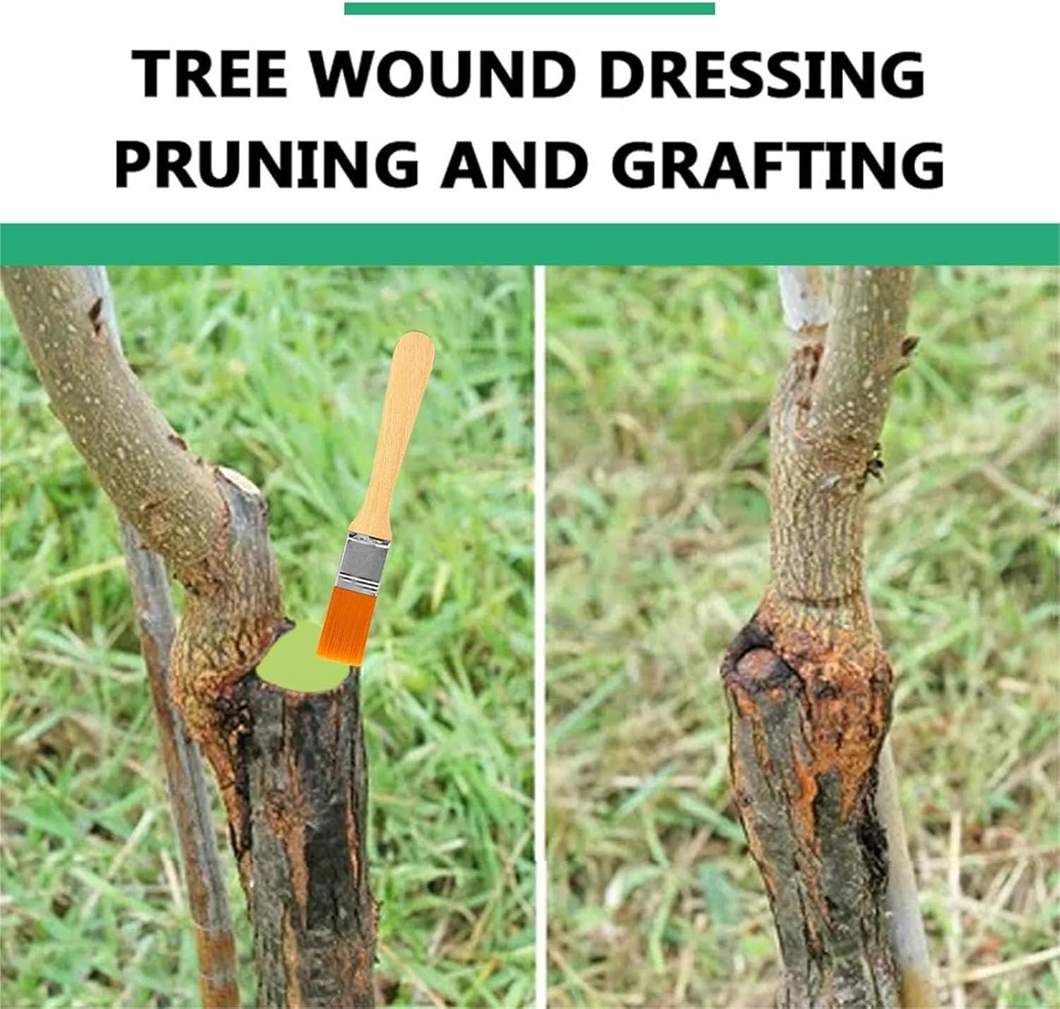 Tree Wound Sealer, Pruning Sealer, Tree Wound Philippines | Ubuy