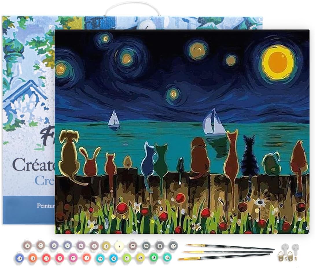 Amazon.com: Figured'Art Paint by Numbers for Adults with Frame Starry ...