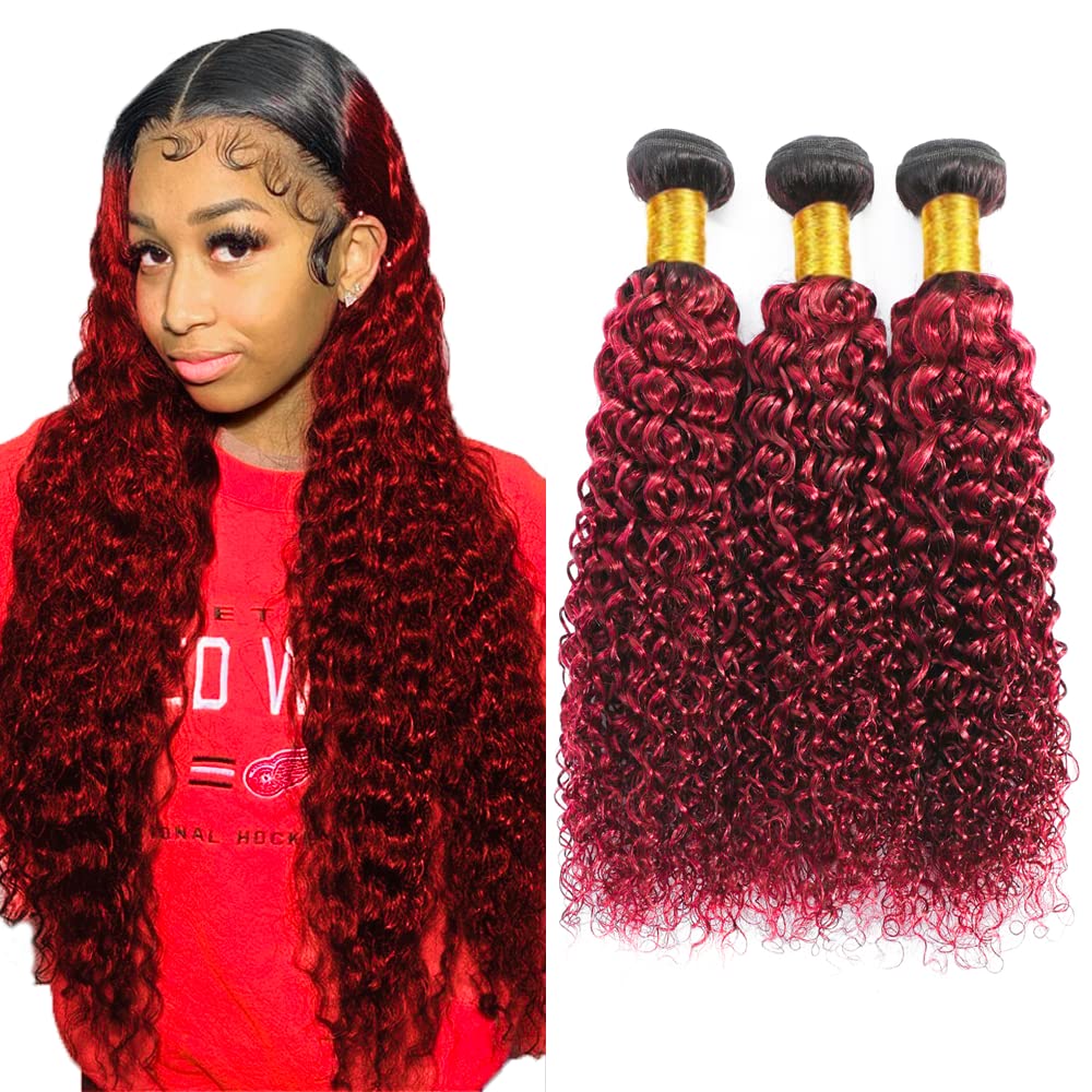 Amazon.com : Ombre Bundles Human Hair Burgundy Human Hair Bundles 1B99J ...