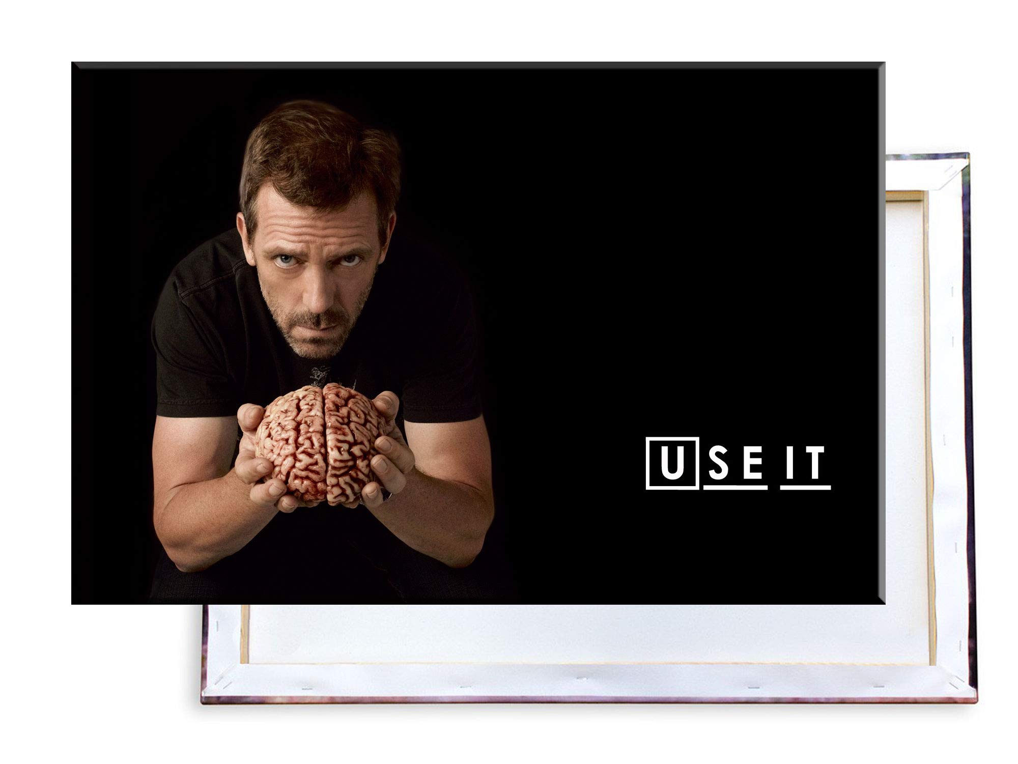 House Md Brain Logo Dr. House
