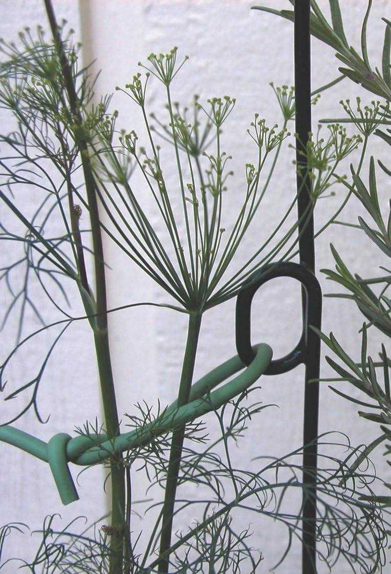 Amazon.com : Luster Leaf 975 36-Inch Double Loop Stakes : Garden Stakes ...
