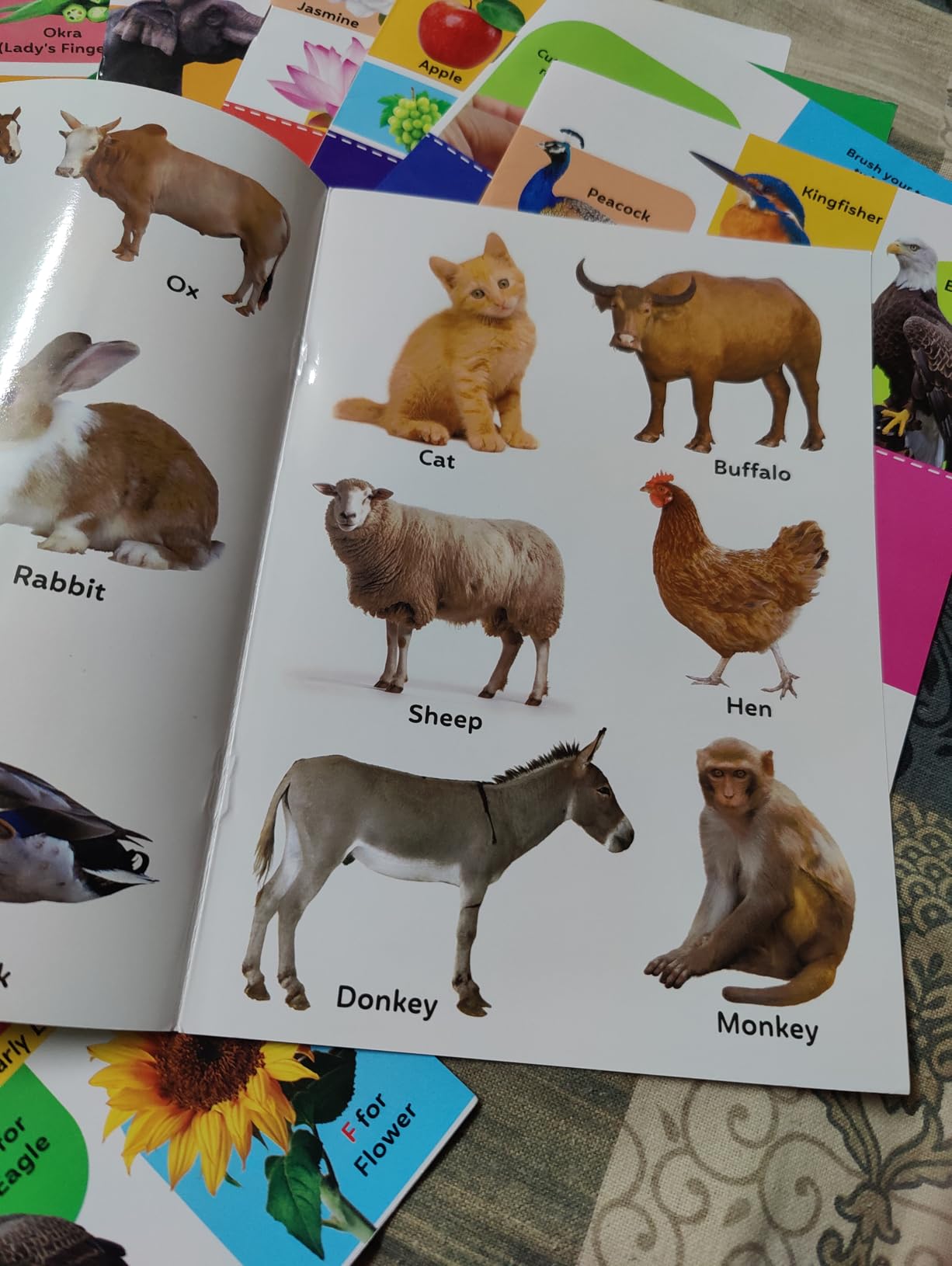 Buy My First Picture Book Collection For Early Learning : Books For ...