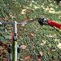 Amazon.com : Wald 896 Low-Rise Cruiser Bike Handlebar (26-Inches Wide ...
