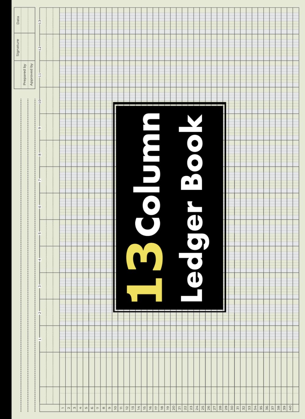 Amazon.com: 13 Column Ledger Book; 13 Column Accounting Ledger Pad ...