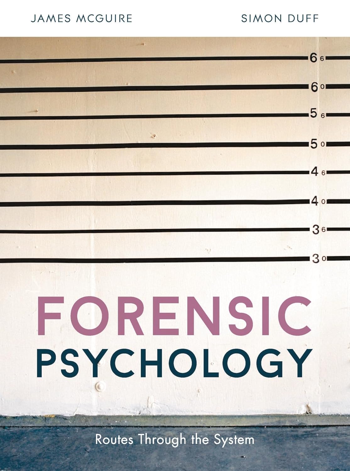 Amazon.com: Forensic Psychology: Routes through the system ...