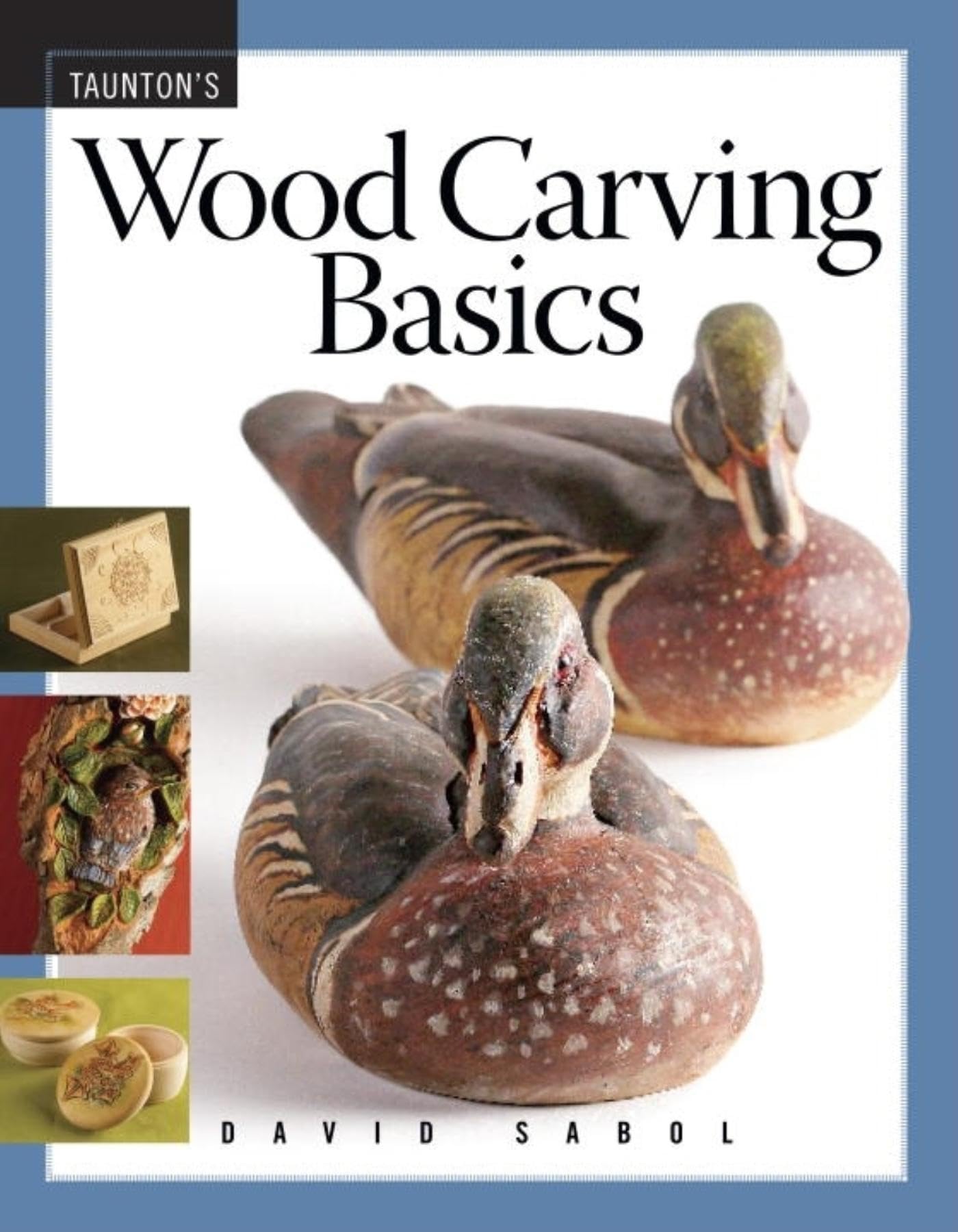 Amazon | Wood Carving Basics (Fine Woodworking DVD Workshop) | Sabol ...