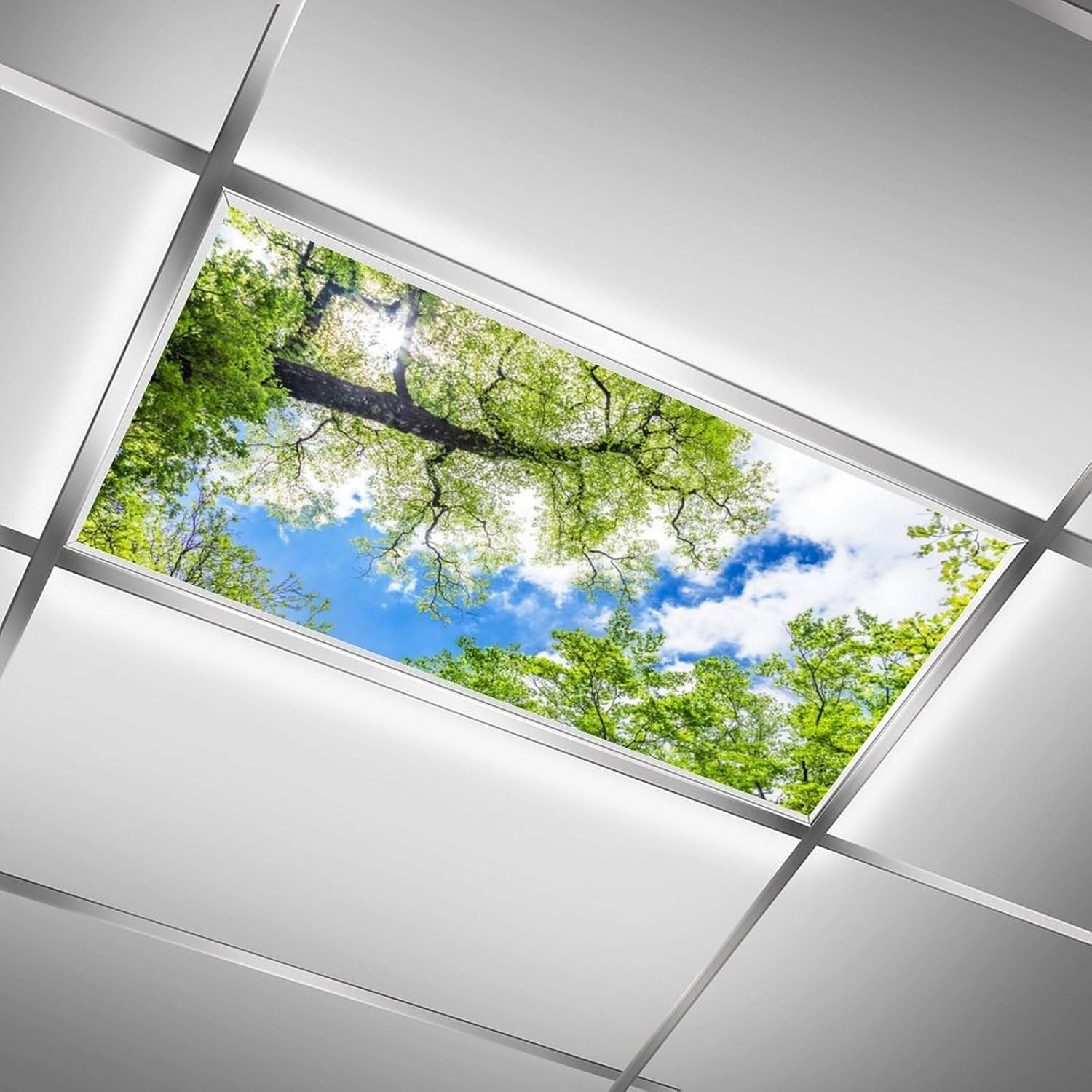 Fluorescent Light Cover for Classroom - 2 Pcs Big Trees and Sky ...