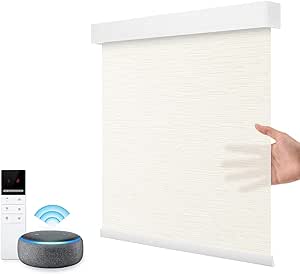 Amazon.com: ZSTARR Motorized Smart Light Filtering Blind for Window with Remote Control ...