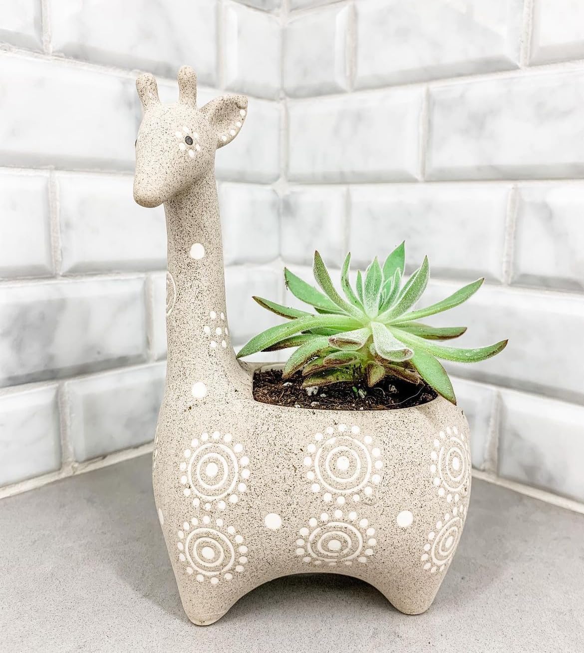 Amazon.com : Giraffe Succulent Planter Pot, Small Giraffe Elephant ...