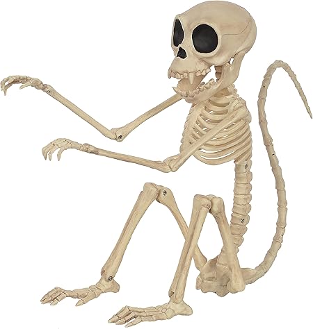 Amazon.com: Large Skeleton Monkey : Sports & Outdoors