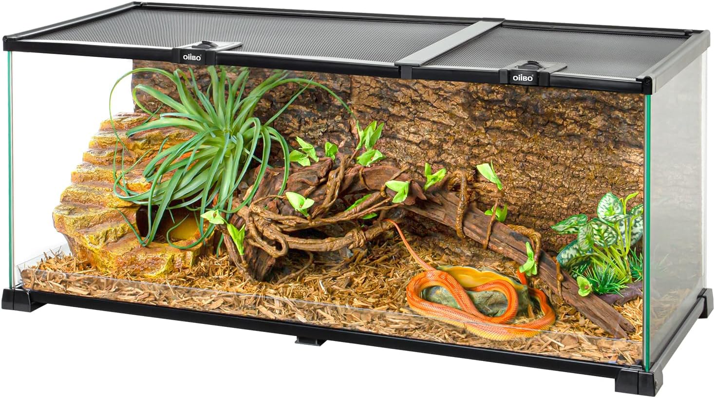 Amazon.com : OiiBO 20 Gallon Reptile Tank, 30" x 12"x 12" Glass ...