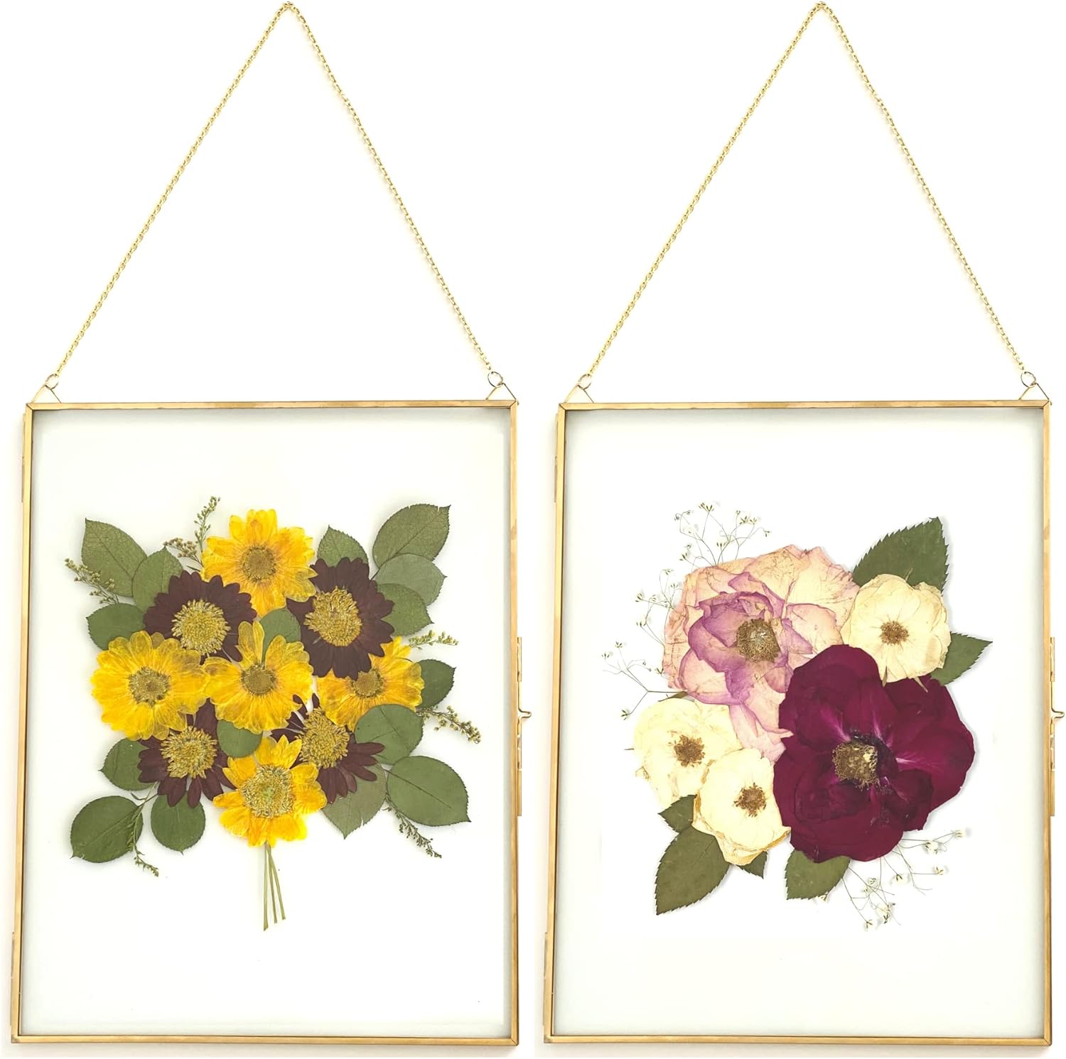Amazon.com - Beedecor Double Glass Frame for Pressed Flowers, Leaf and ...