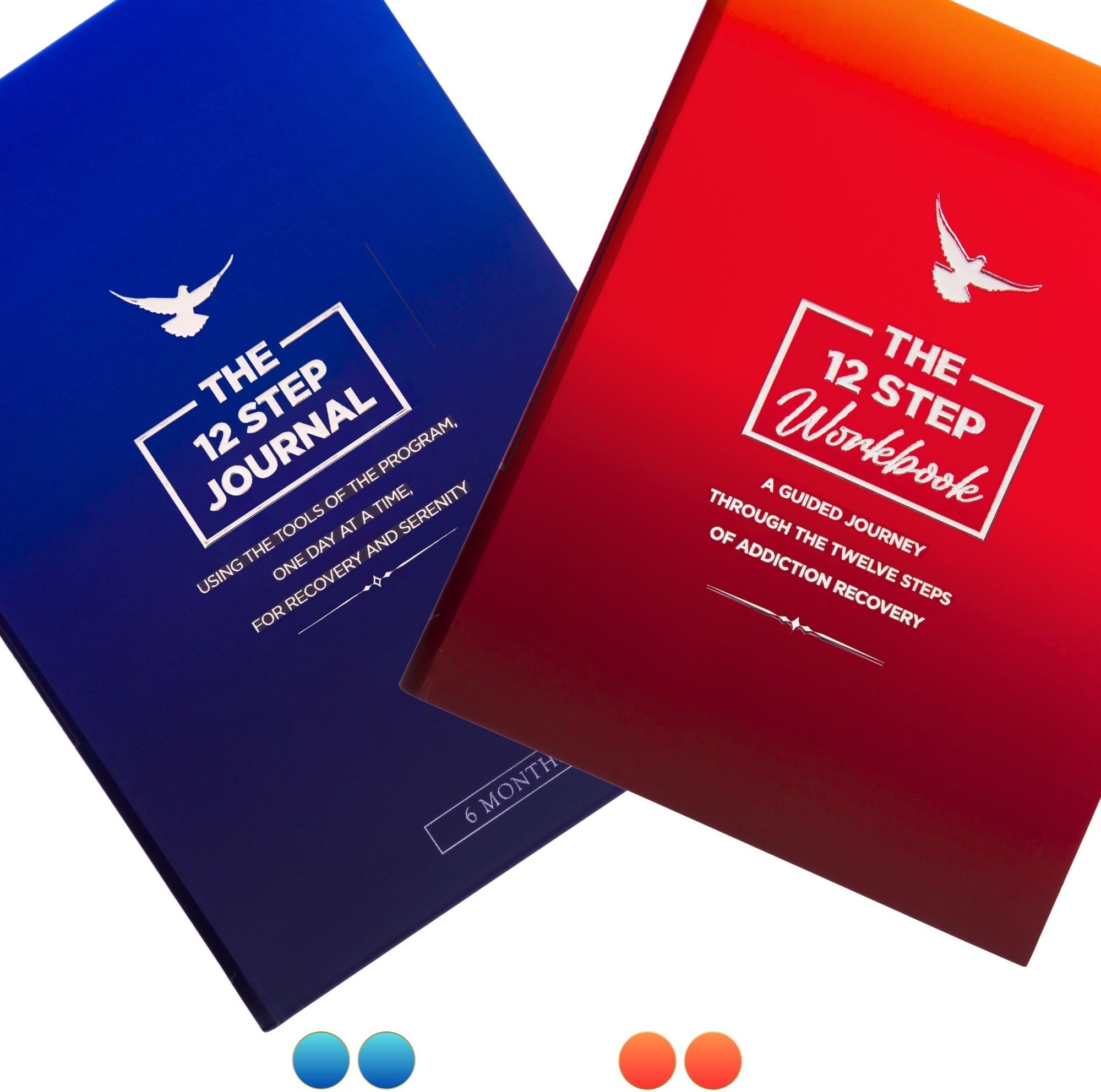 Amazon.com : The 12 Step Journal and The 12 Step Workbook Bundle ...