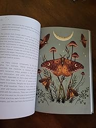 Mountain Magic: Explore the Secrets of Old Time Witchcraft (Volume 1 ...