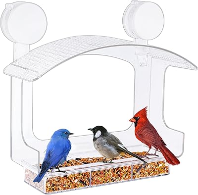 Amazon.com : Aspects (ASP155) Window Cafe Bird Feeder, Hopper Style ...