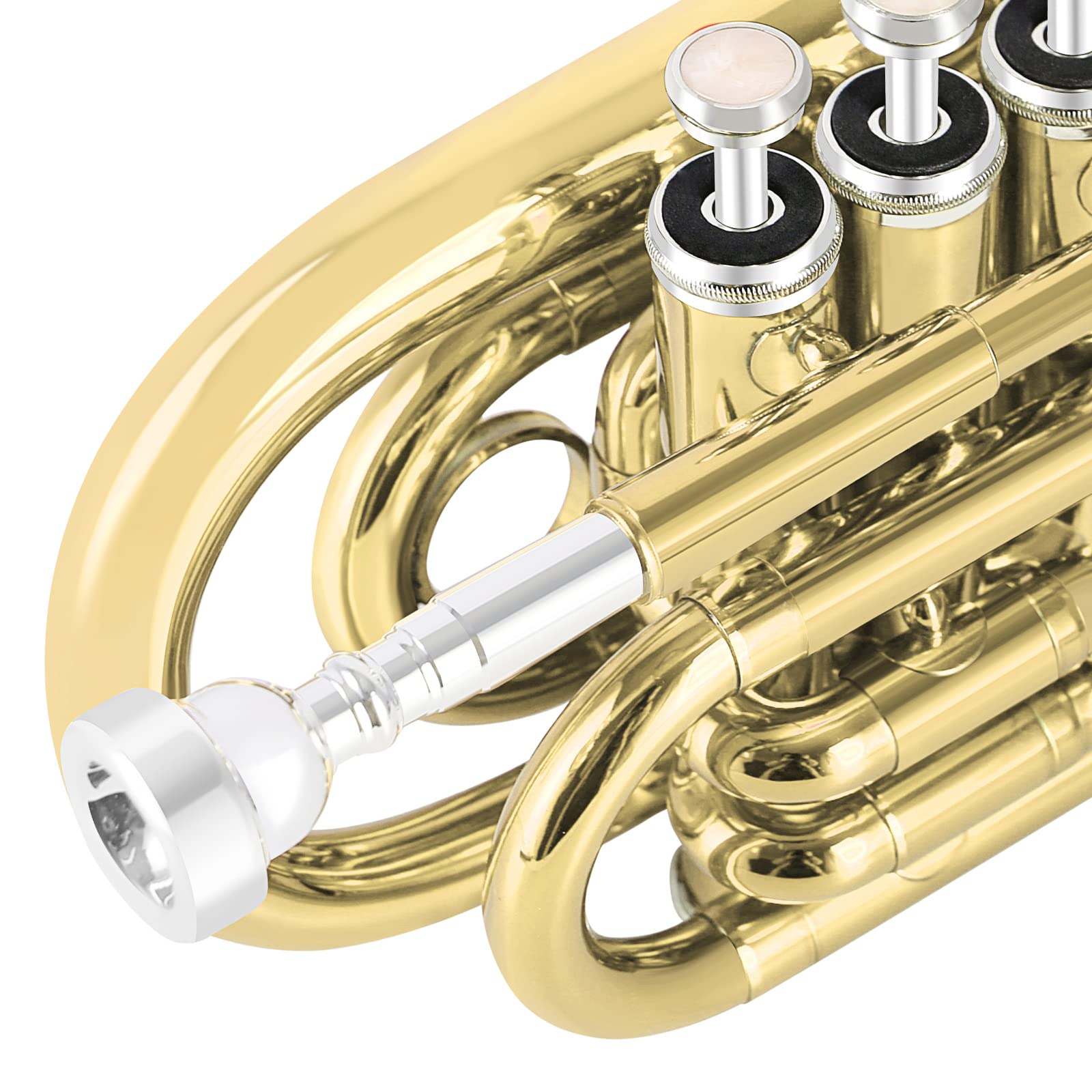 Types Of Trumpets And Their Names