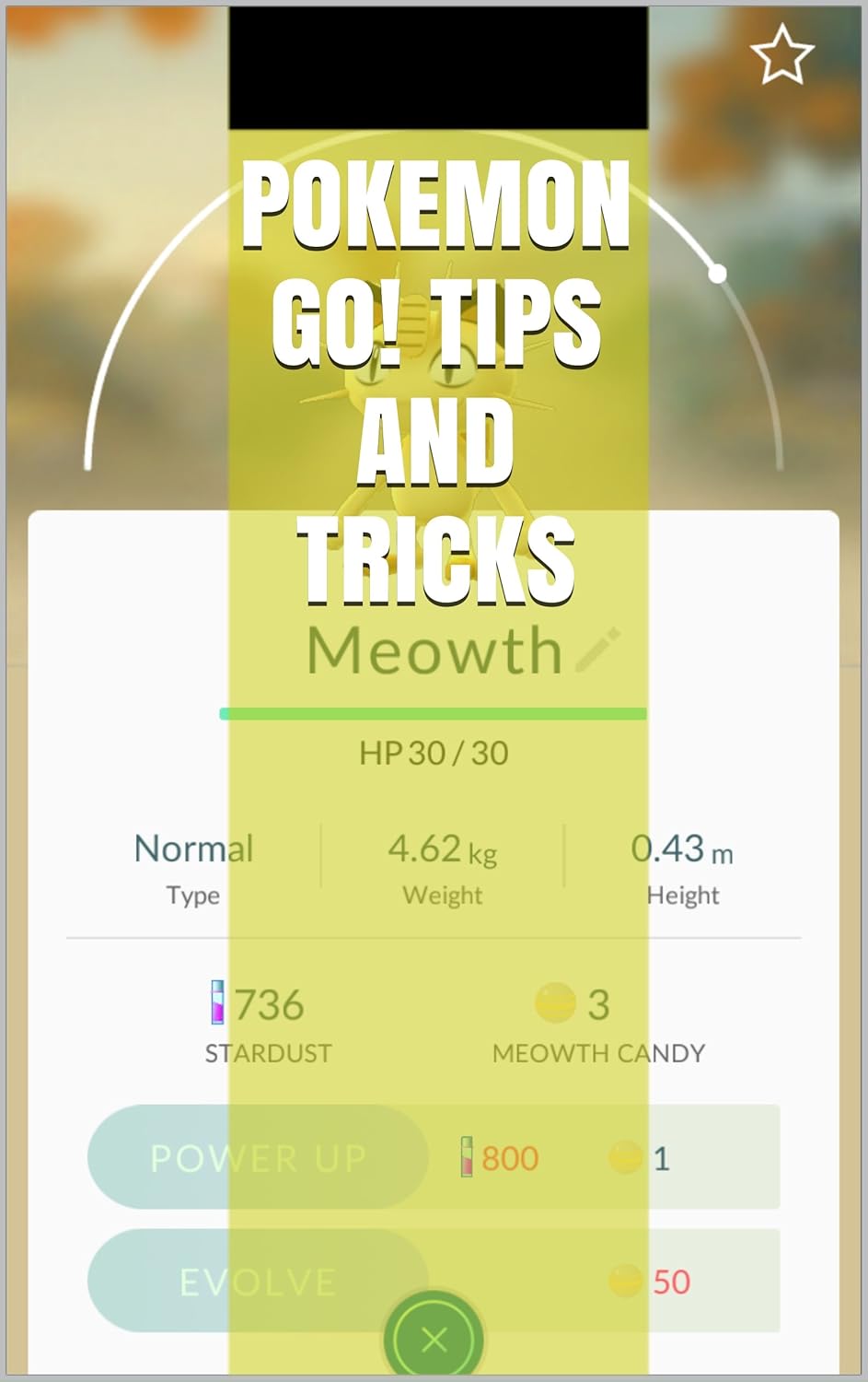 Pokemon Go! Tips and tricks (Modern trends Book 1) eBook : Ketchup, Ashleight: Amazon.in: Kindle ...
