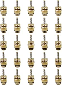 Amazon.com: AC Schrader Valve Core Kit, 25Pcs M10 Brass Air ...